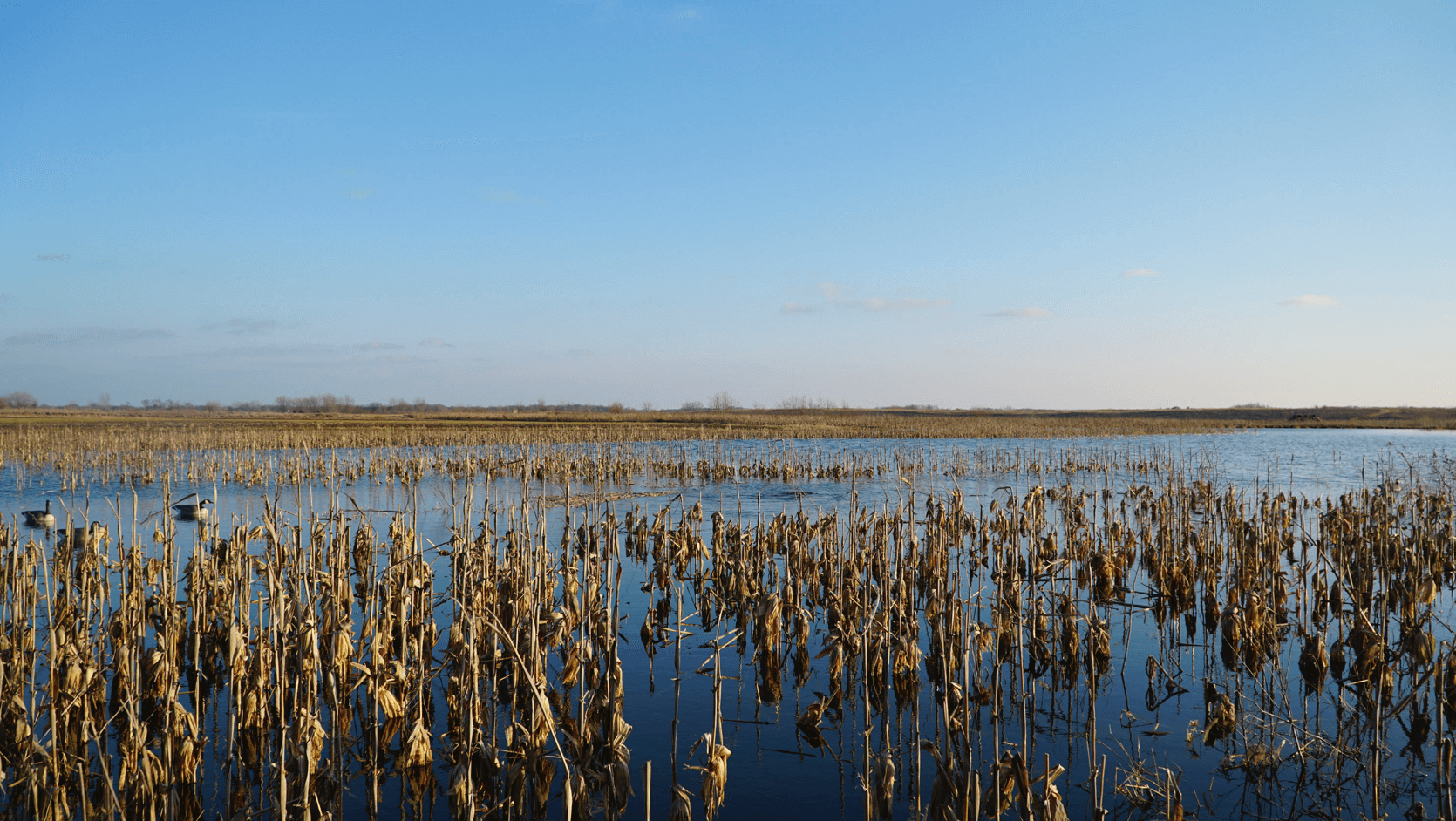 LandCo Podcast -LandCo - Land Brokerage and Auction House